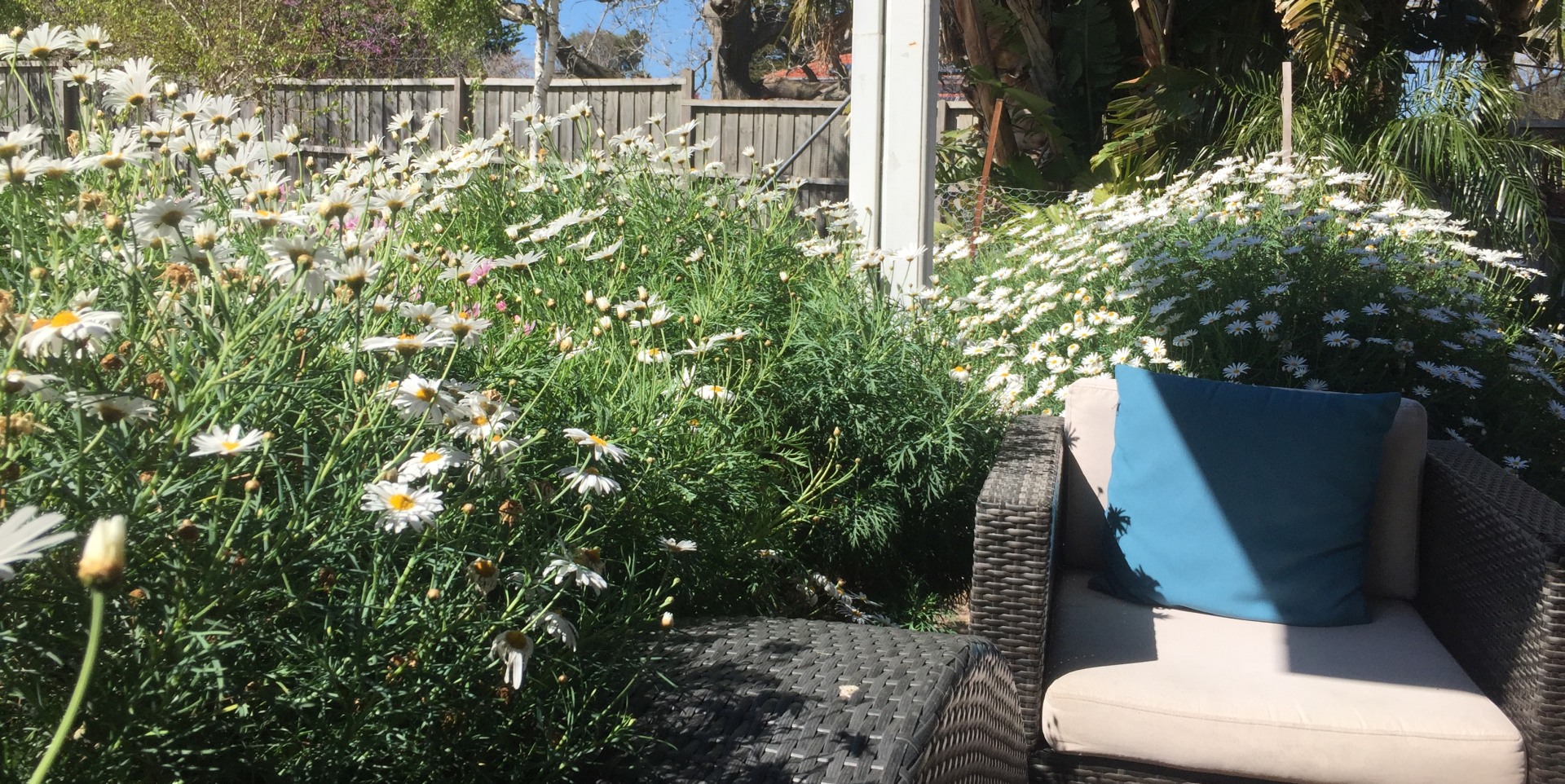 Recovery Gardens - Made by Jane